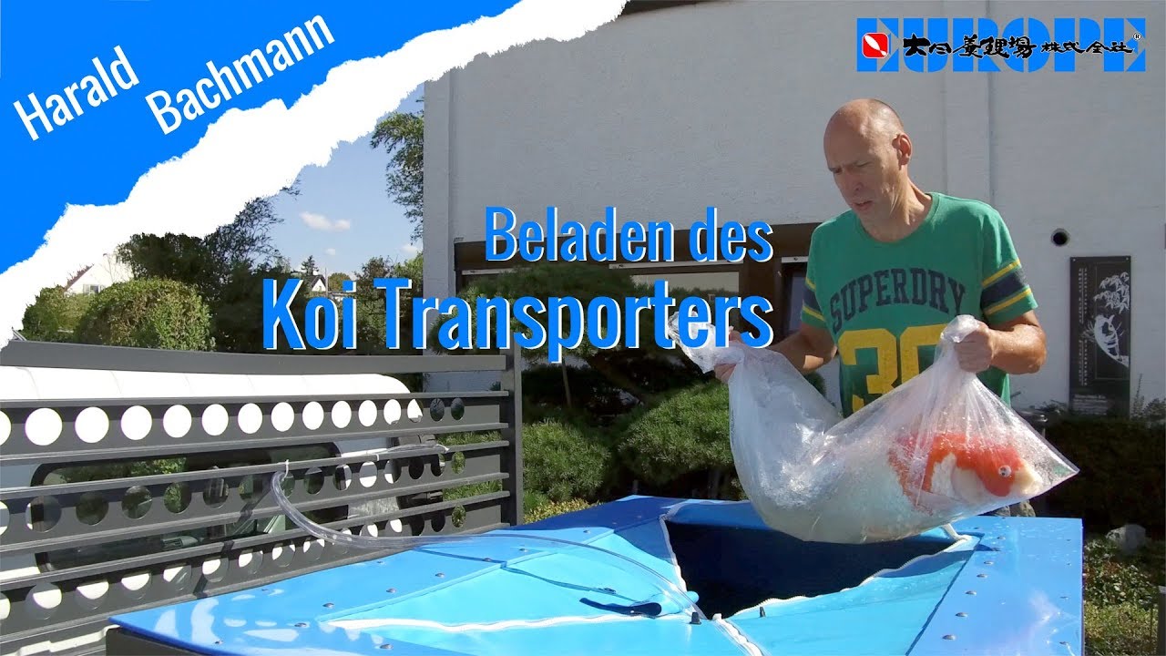 Koi Transport – Dainichi Europe