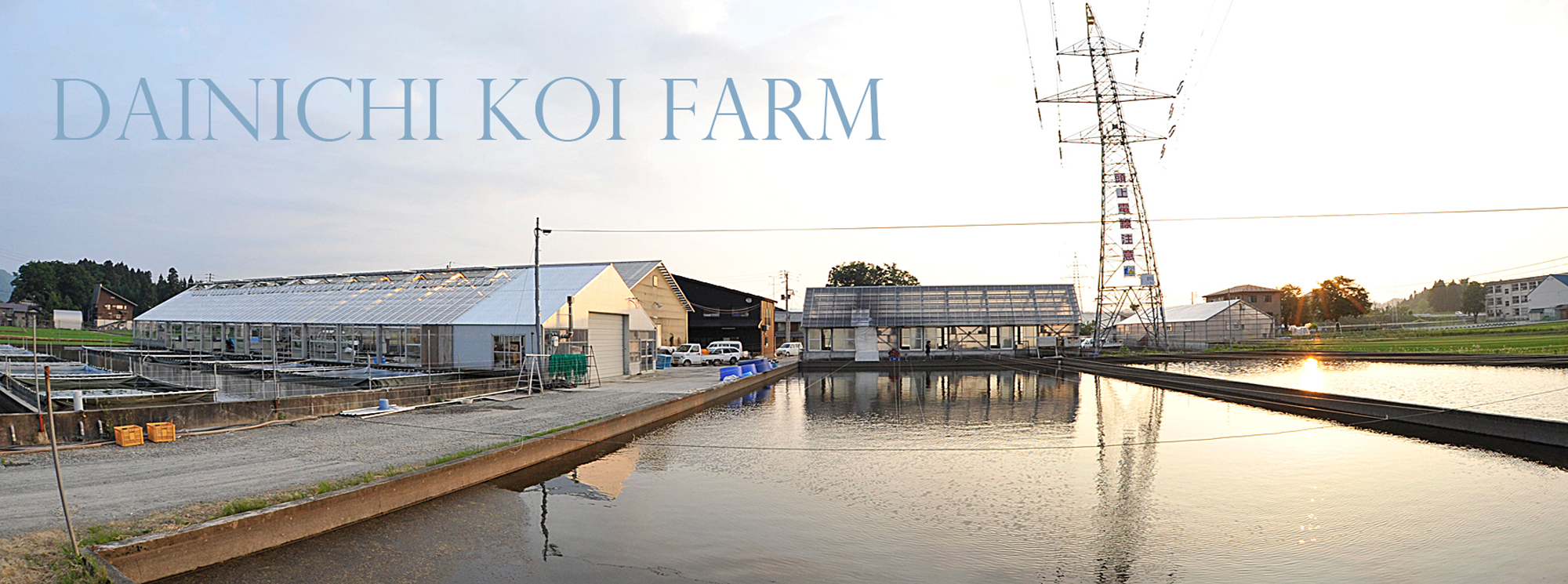 Dainichi – Dainichi Europe